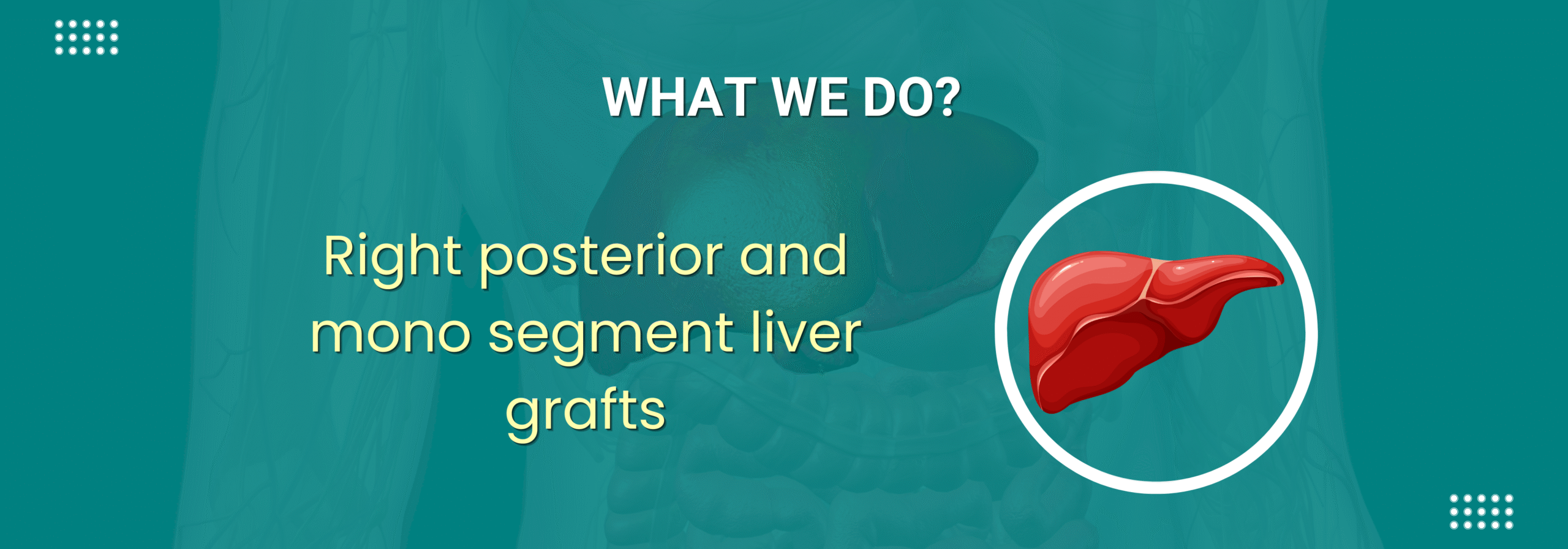 Best Liver Transplant Surgeon in Delhi NCR- Dr. Giriraj Bora